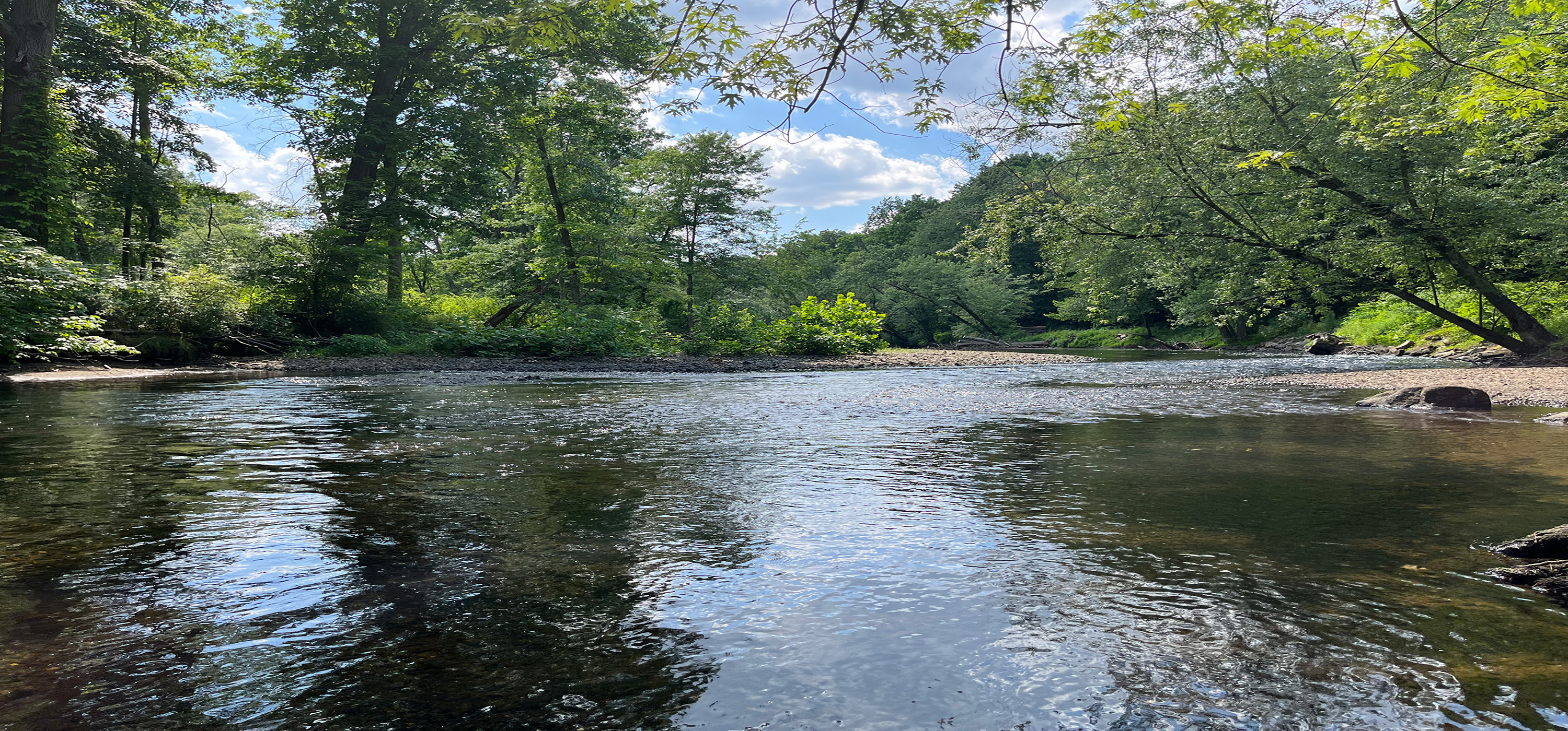 Parks | City of Kent