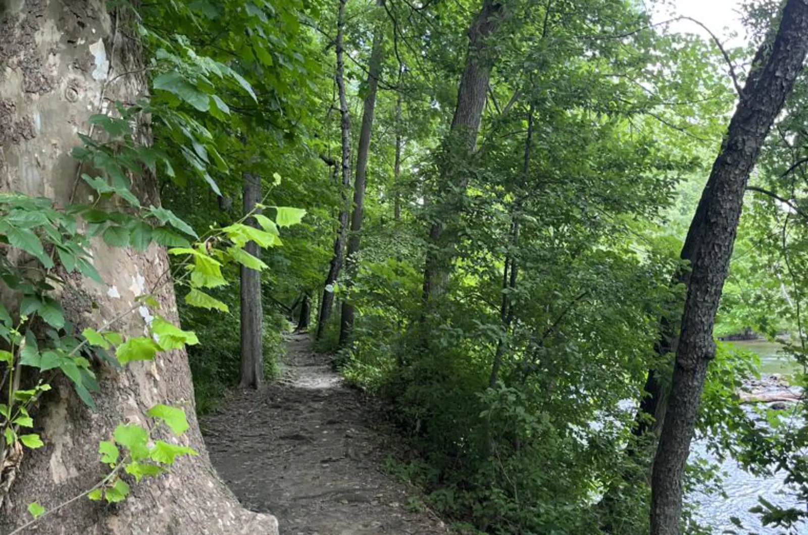 Franklin Mills Riveredge Park | City of Kent