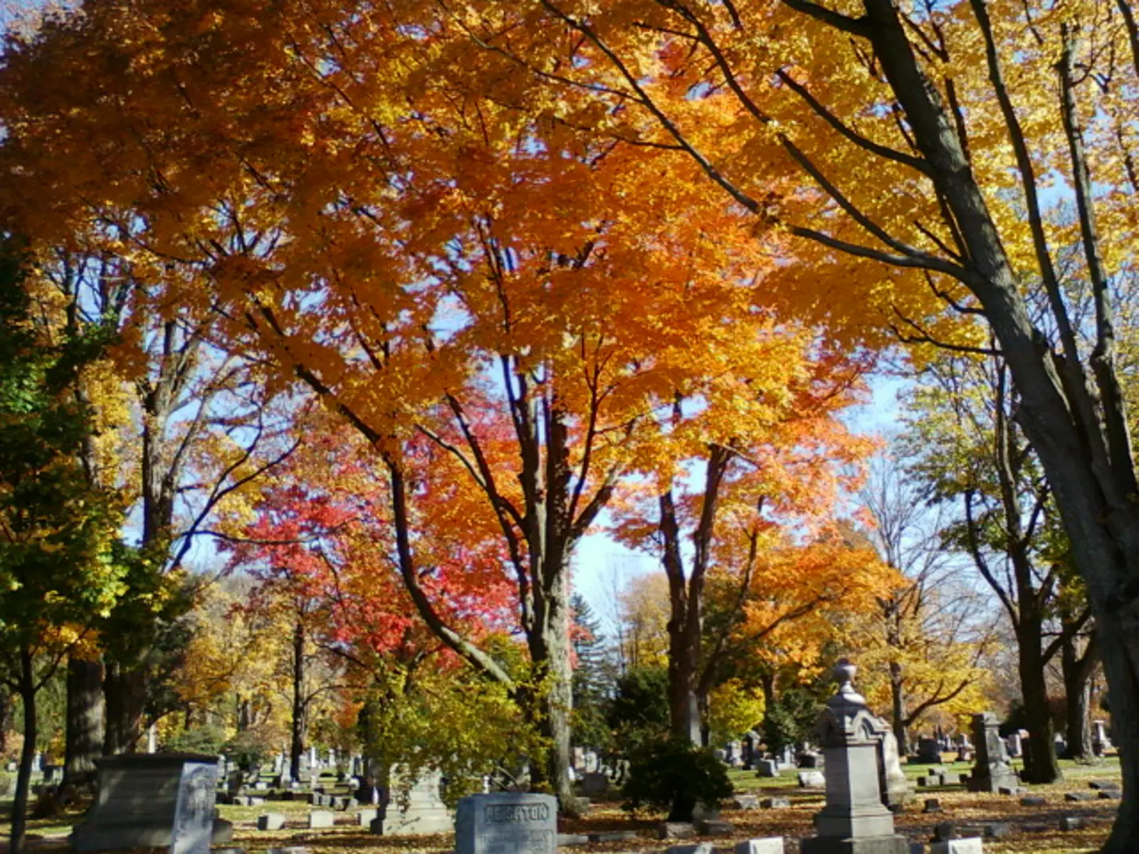 Cemeteries | City of Kent